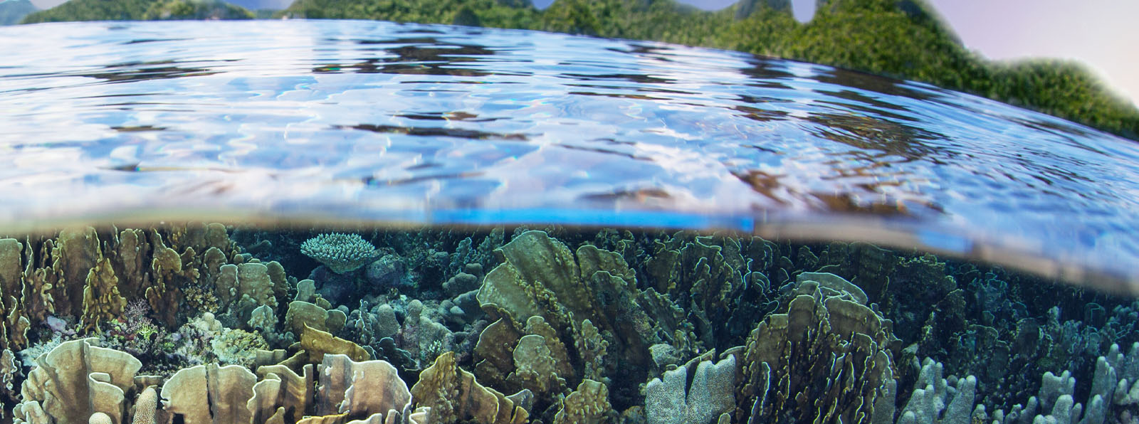 United to support European Sustainable Development Week - Groupe BPCE’s ...