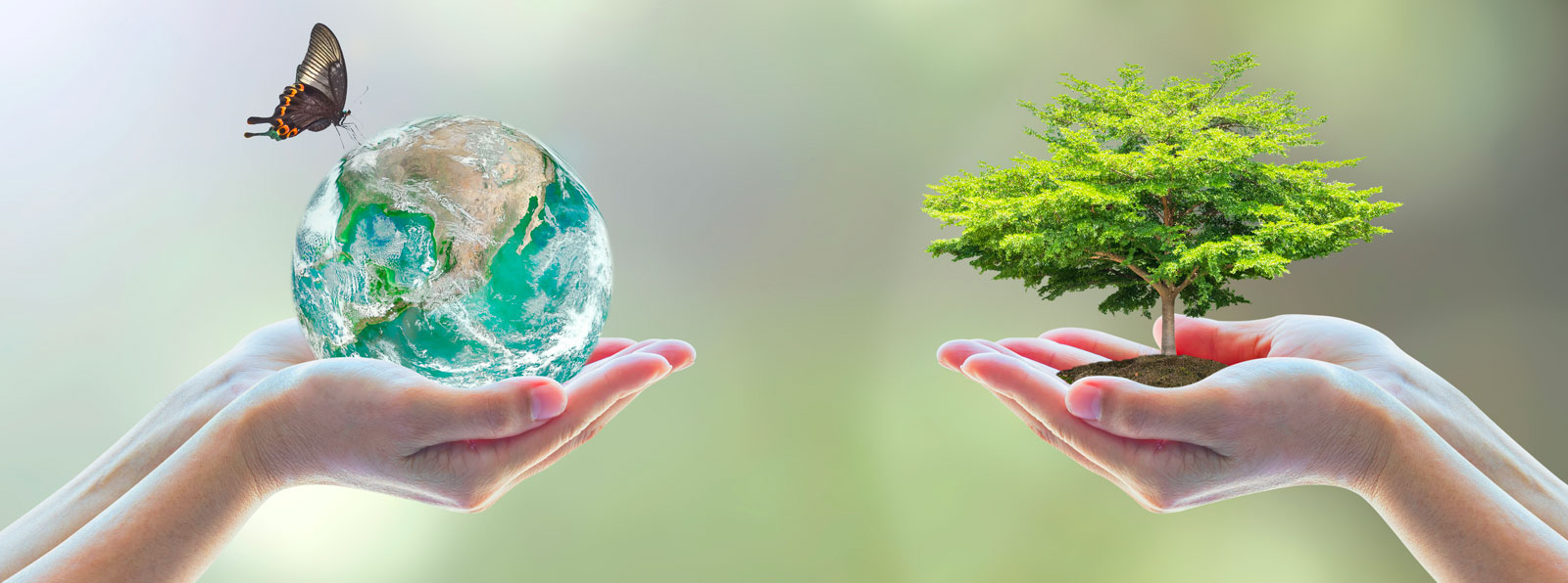 International Day for Biological Diversity - Groupe BPCE’s global ...